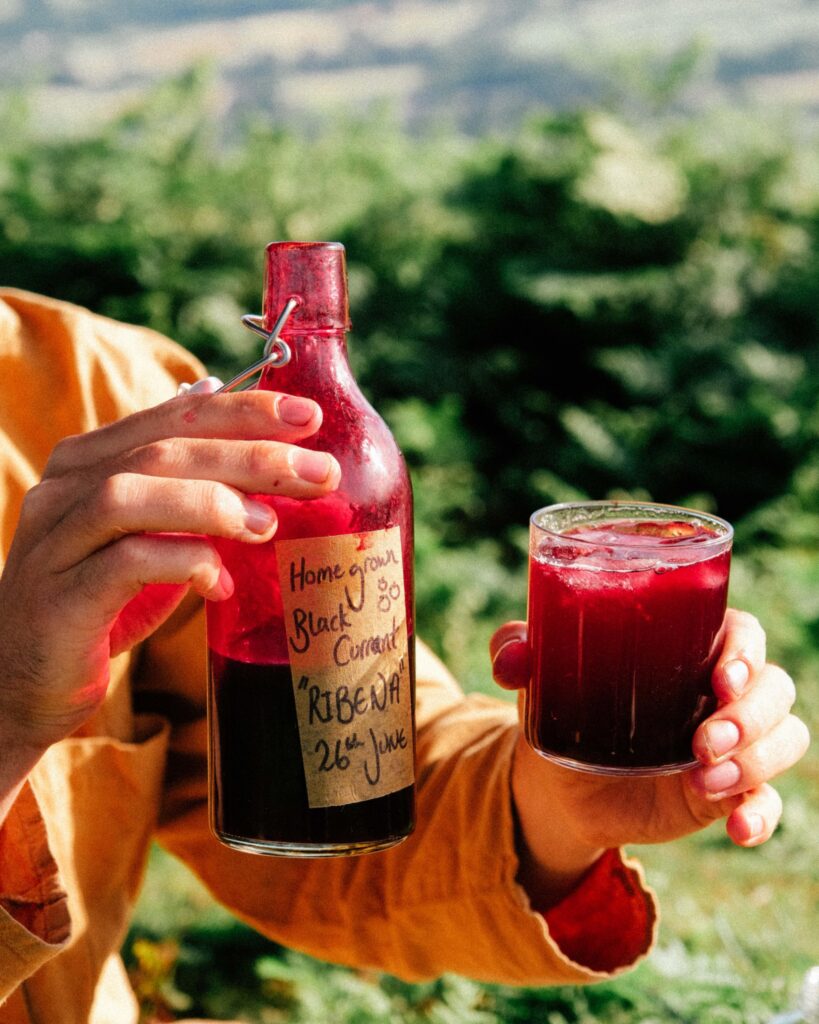 Ribena (Blackcurrant Cordial) - Gaz Oakley